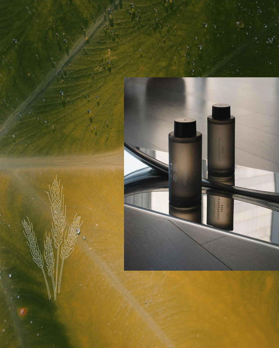 Your Guide to Transparent Skin – Superegg